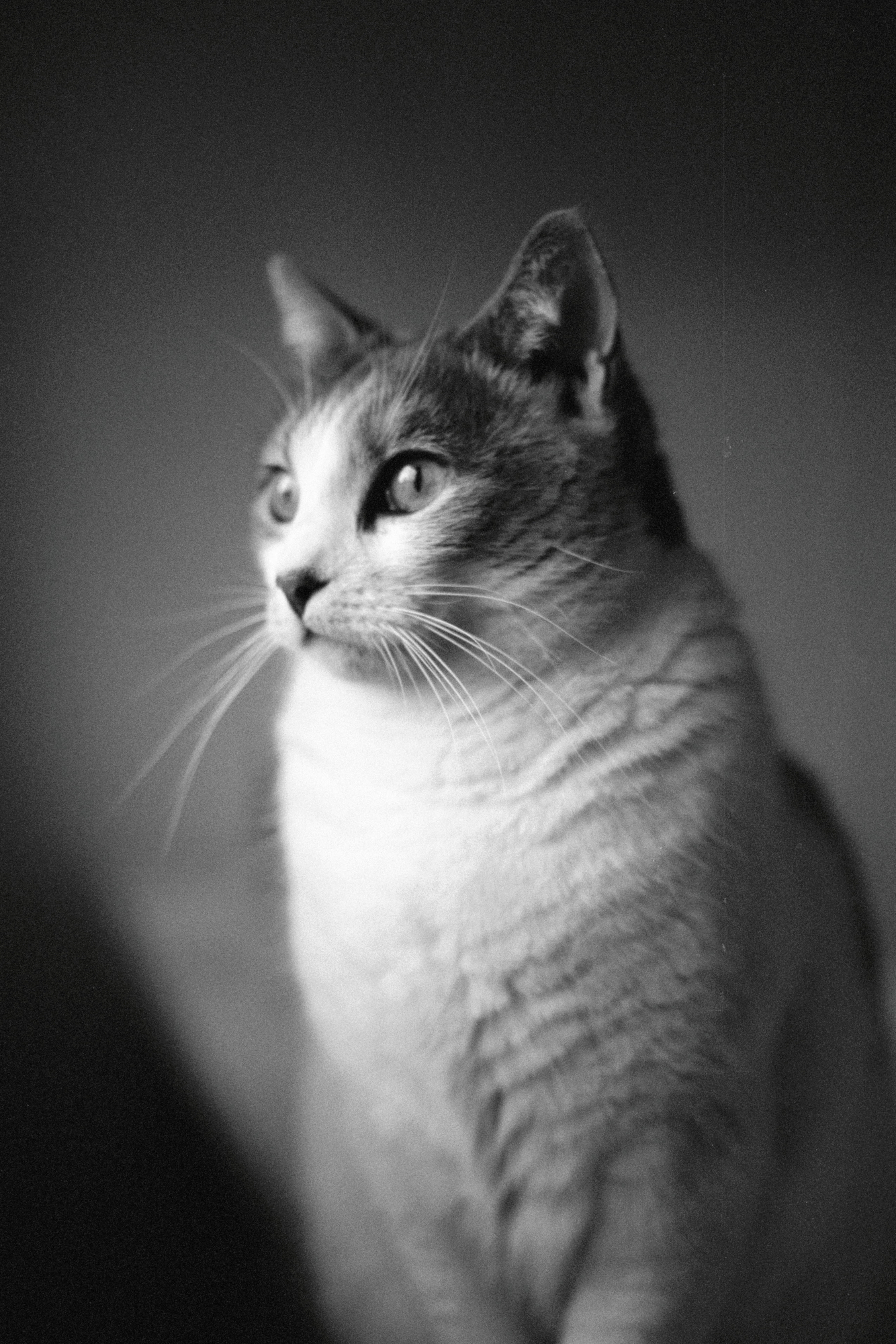 BRICE CHIVU - Portfolio